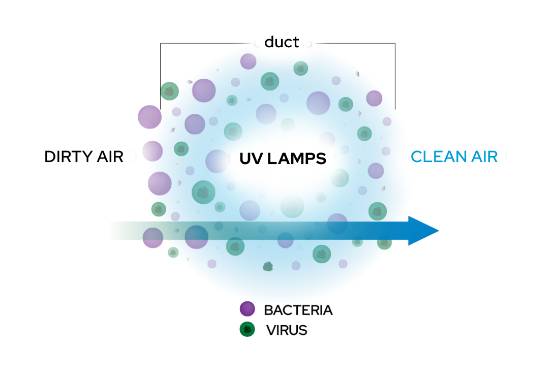 Ultraviolent systems - Campos